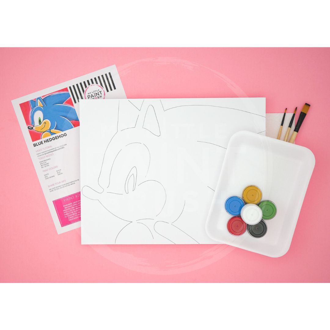 Sonic Hedgehog Acrylic Paint Art Kit On Canvas For Kids – My Little ...