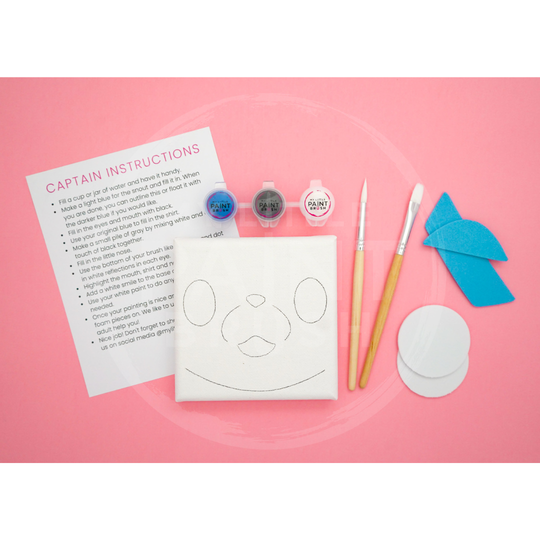 Captain Acrylic Paint Art Kit On Mini Canvas – My Little Paintbrush