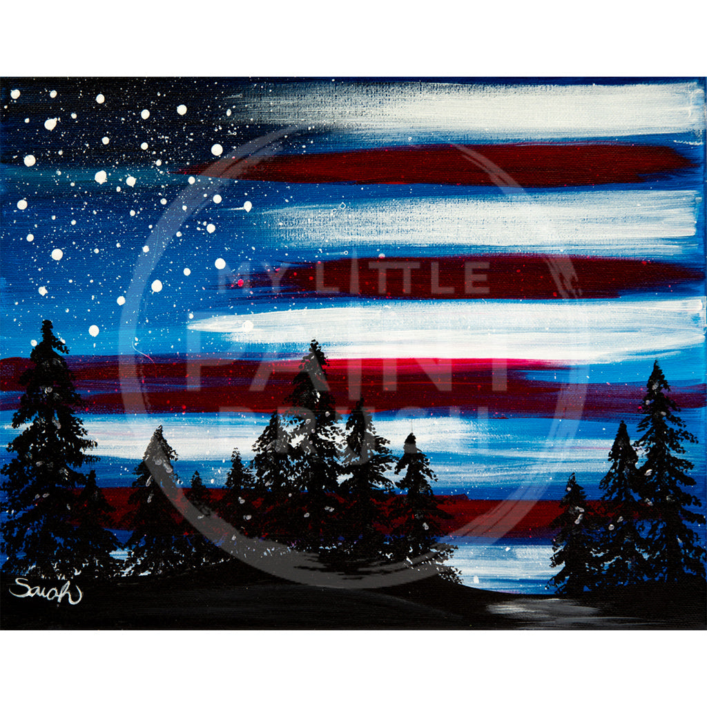 USA Flag Acrylic Paint Art Kit On Canvas Beginner – My Little Paintbrush
